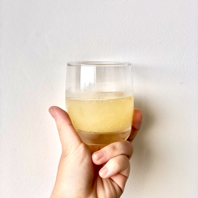 Apple Water Kefir 300ml 苹果水克菲尔 水克 Unpasteurized Water Kefir | Shopee ...