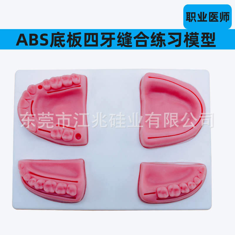 Contact seller 】Medical Student Suture Training Tooth Model Teaching ...