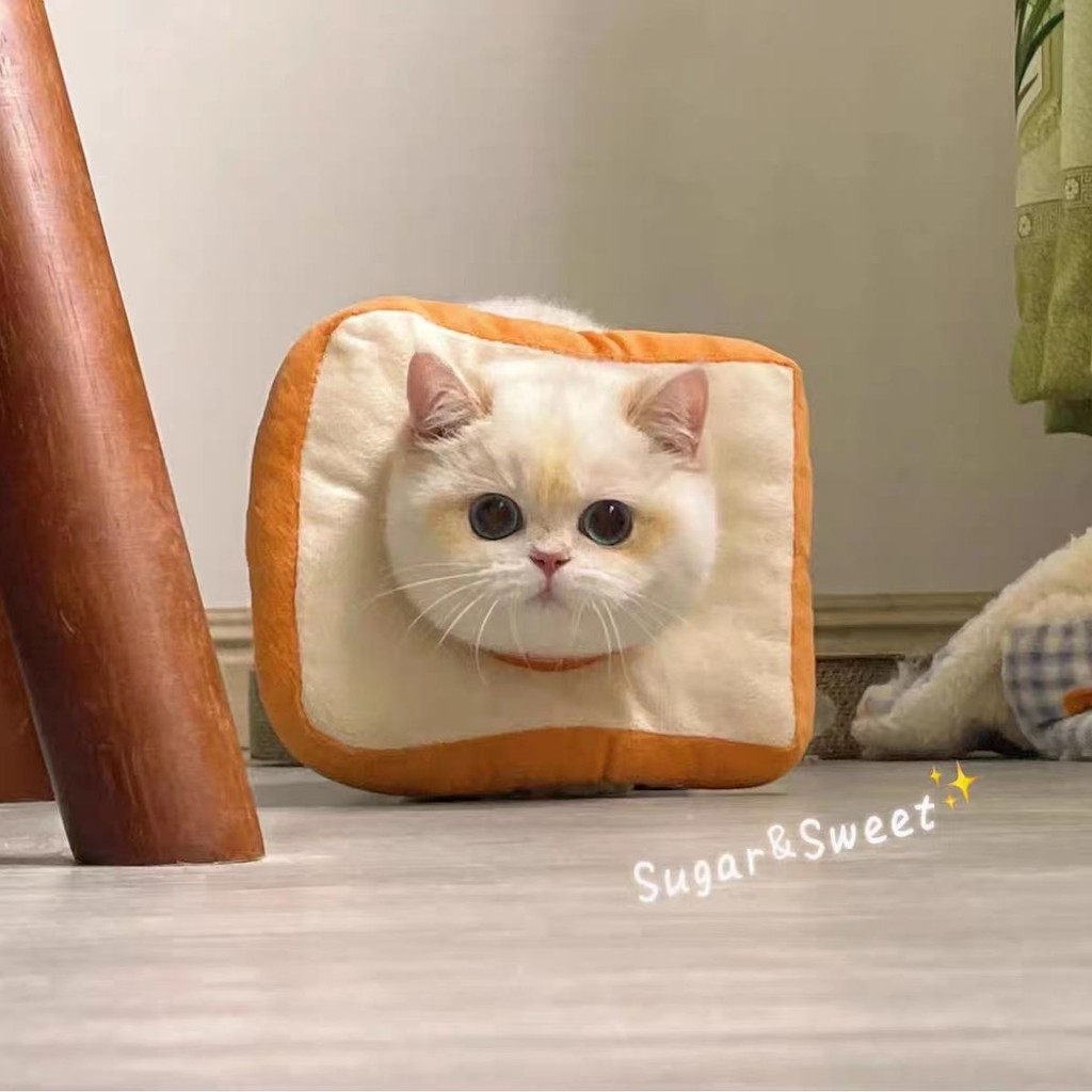 Bread Cat Elizabethan Collar Rabbit Collar Toast Elizabethan Collar ...