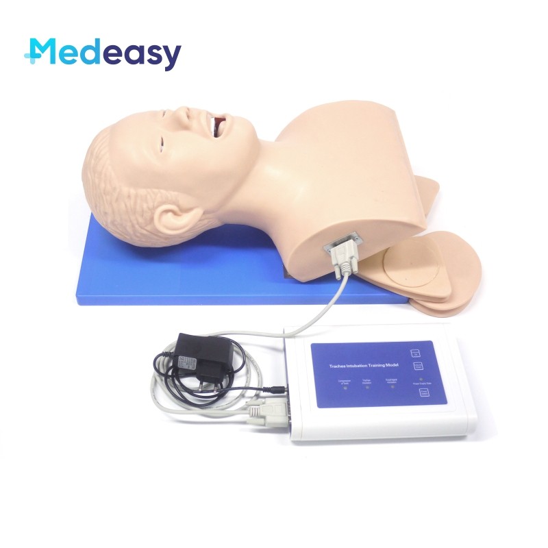 Adult Endotracheal Intubation Training Mannequin, Airway Intubation ...