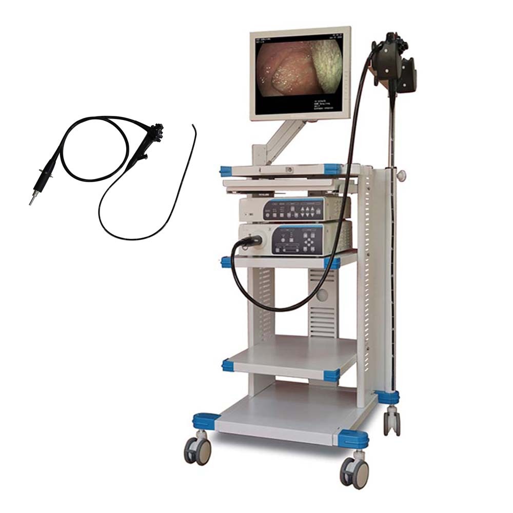 Hospital Medical FHD Video Gastroscope&Colonoscope Endoscope Camera ...