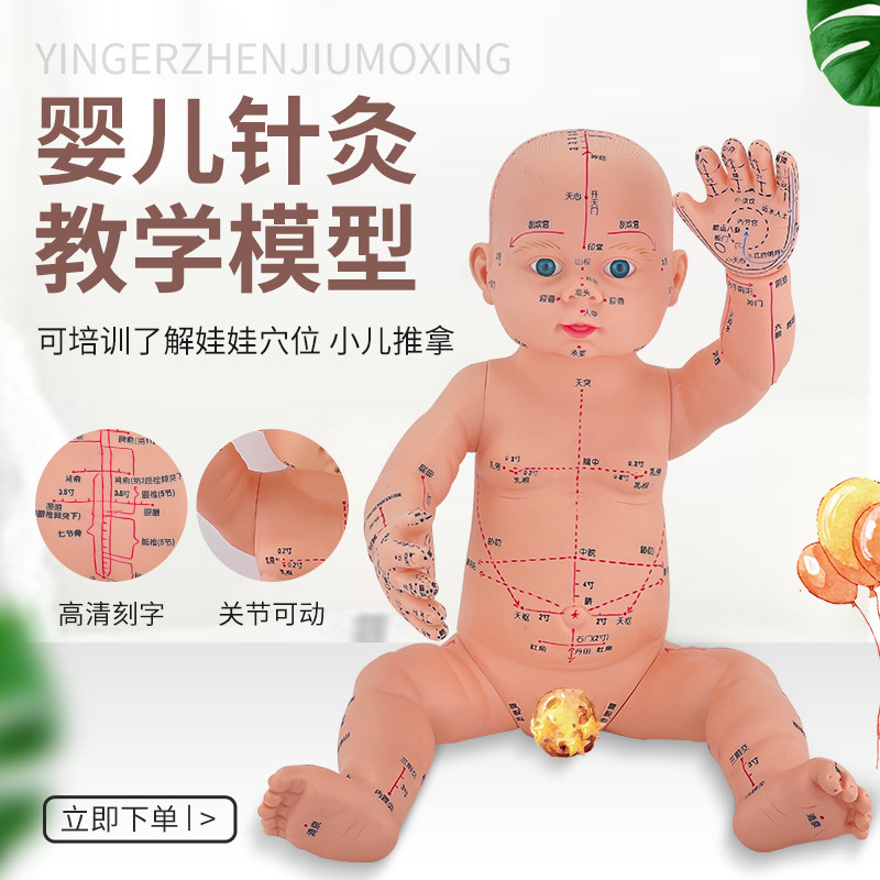 Q-8/#Acupoint Doll Model Children's Doll Human Body Model Acupuncture ...