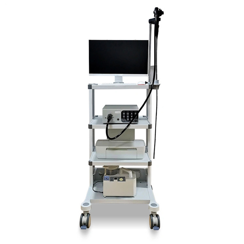 Gastroscope And Colonoscope Medical Gastrointestinal Endoscopy System ...