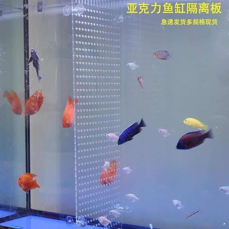 M/Acrylic Fish Tank Partition Transparent Isolation Board Fish Fry ...