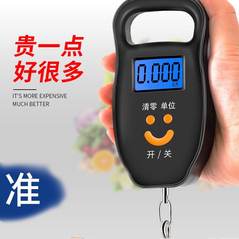 Teyi Portable Handheld Scale for Home Use, High Precision Spring ...