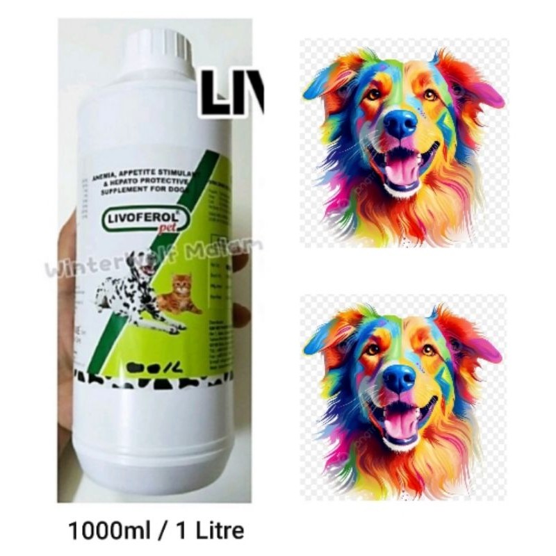Exp:2025 Dec / 1000ml Livoferol Pet Liquid 1L 1 Litre 250ml 200ml Nutri ...