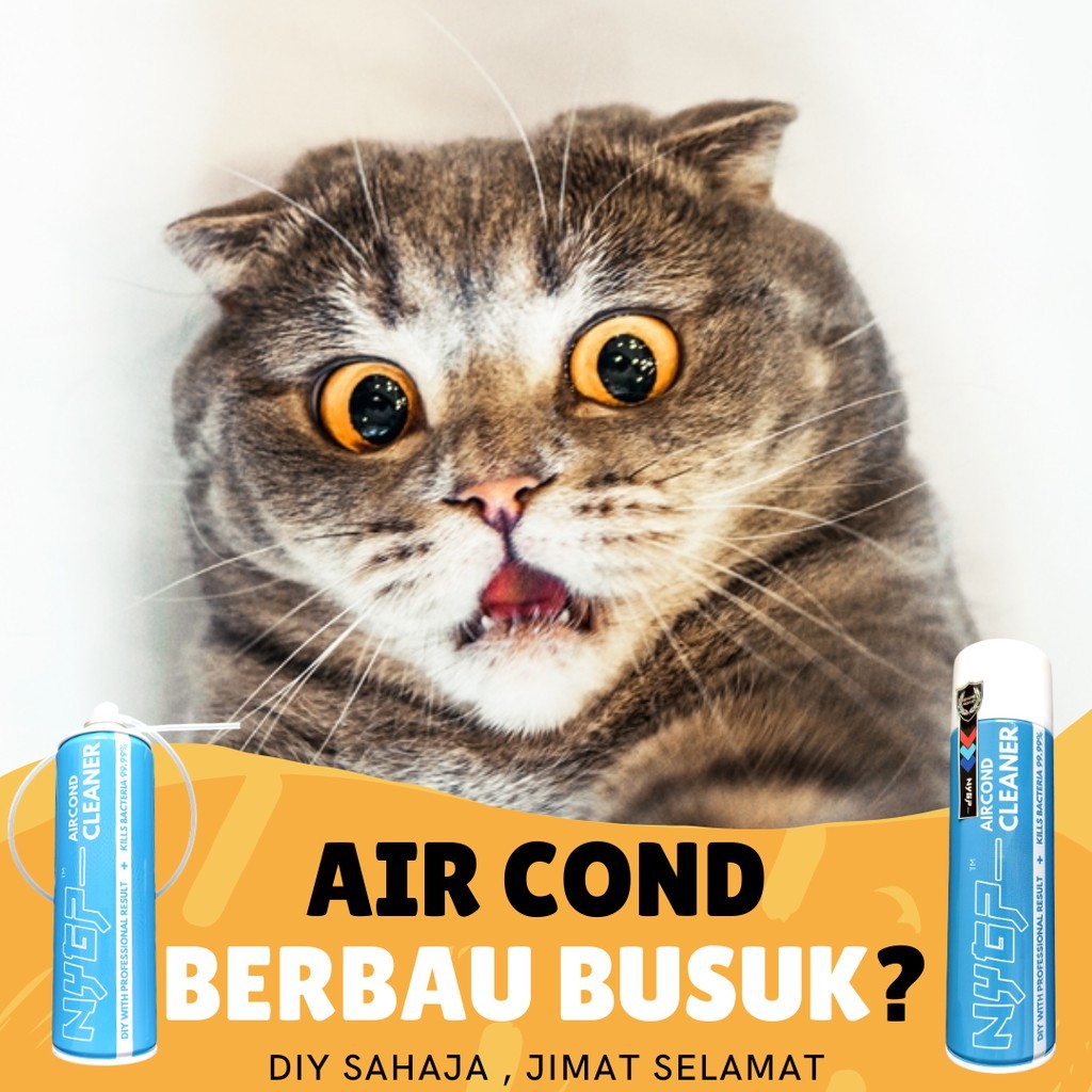 NO SHIP TO SABAH SARAWAK 📣JAPAN FORMULA📣NYGP KILL 99% BACTERIA GERM DIY ...