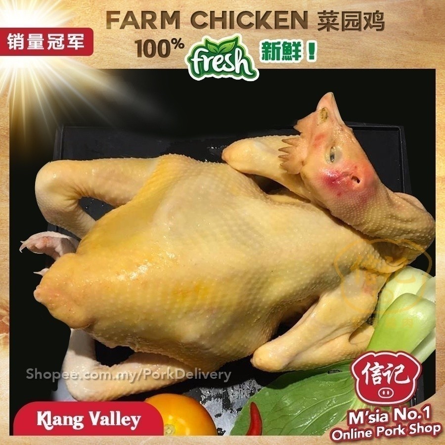 FRESH Whole Farm Chicken 菜园鸡【信记猪肉 Xing Ji Pork】Deliver KL Selangor ...