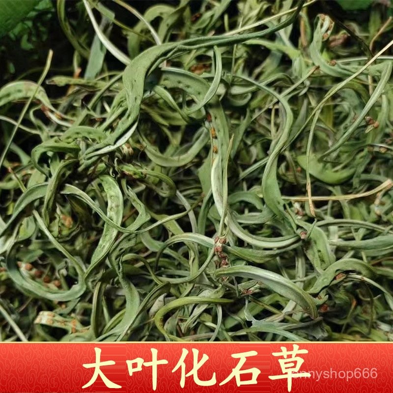 Teh Teh Lelaki Teh Buah Pinggang Teh Kesihatan Yunnan Pergi Ke Batu ...