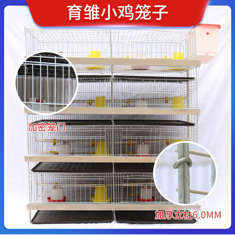 JY-8/Chick Brood Cage 4Layer Vertical Chicken Cage Large Chicken, Duck ...