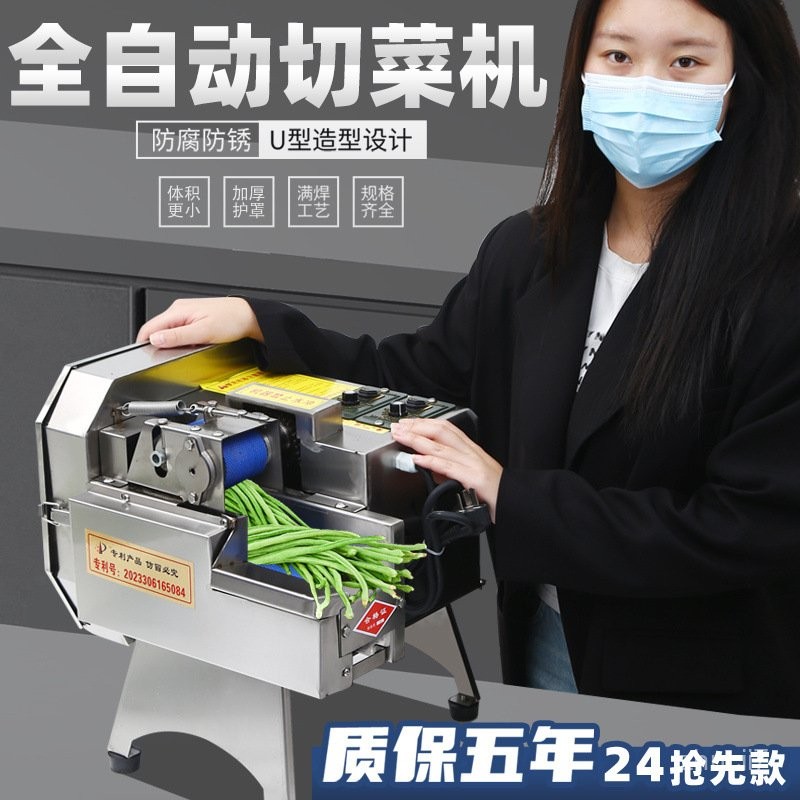 J-H/Multifunctional Vegetable Cutter Commercial Use Canteen Fully ...