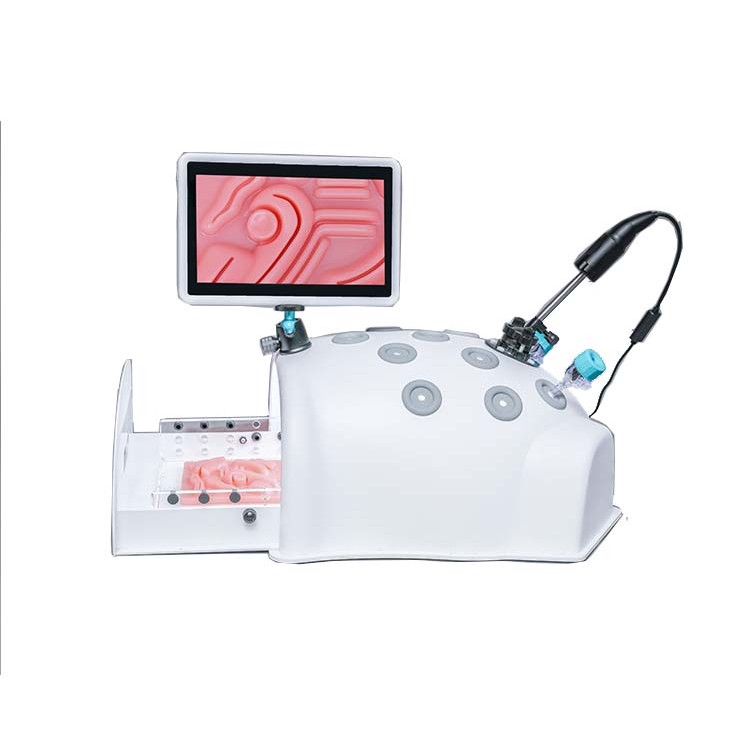 Laparoscopic Simulators Training Box for Laparoscopy Endo Trainer with ...