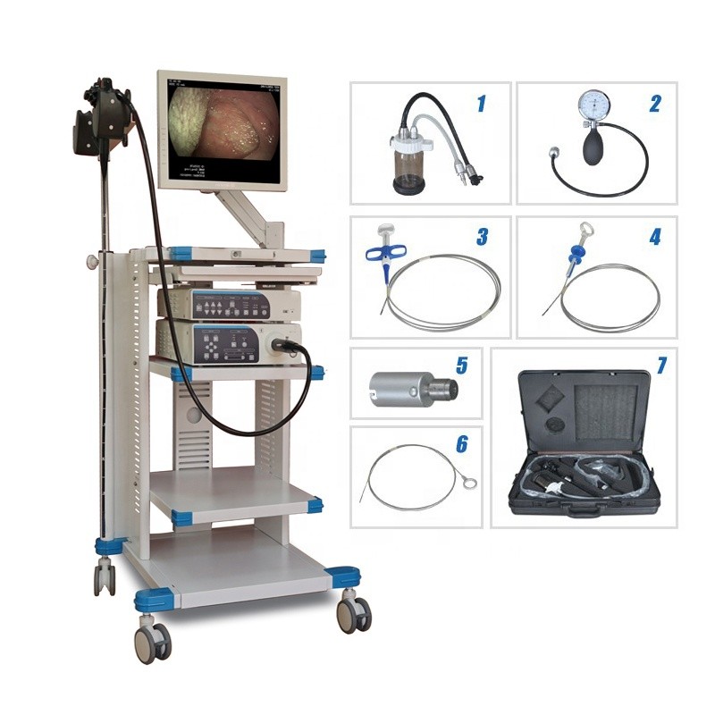 Gastroscope Endoscope Camera Endoscope System Gastrointestinal ...