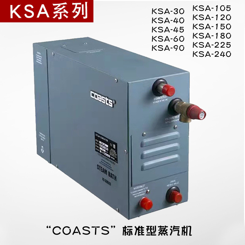 Q-8/coasts Standard Sauna Steam Engine Wet Steam Machine Household ...