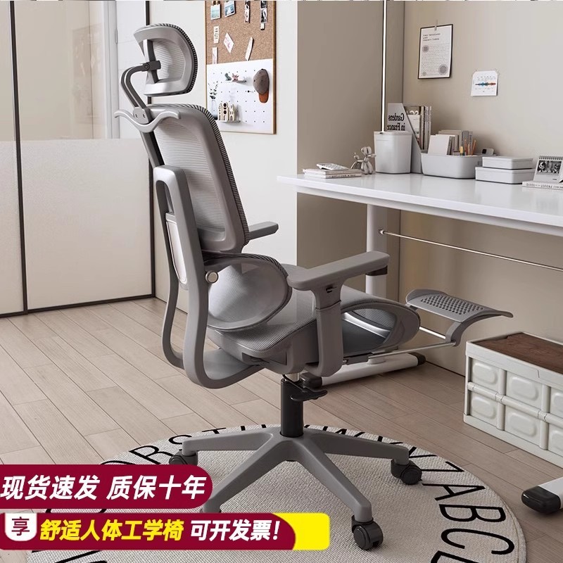 JY-8/Ergonomic Chair Waist Support Computer Chair Home E-Sports Chair ...