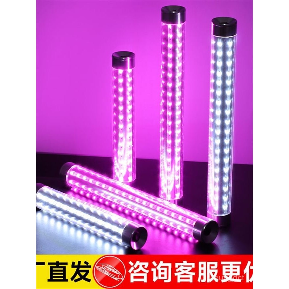 J-K/Flashing Stick led Glowing Champagne Light Bar Glow Stick Champagne ...