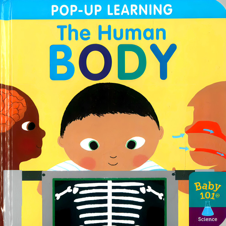 (BBW) BABY 101 POP-UP LEARNING - THE HUMAN BODY (ISBN: 9781848579972 ...