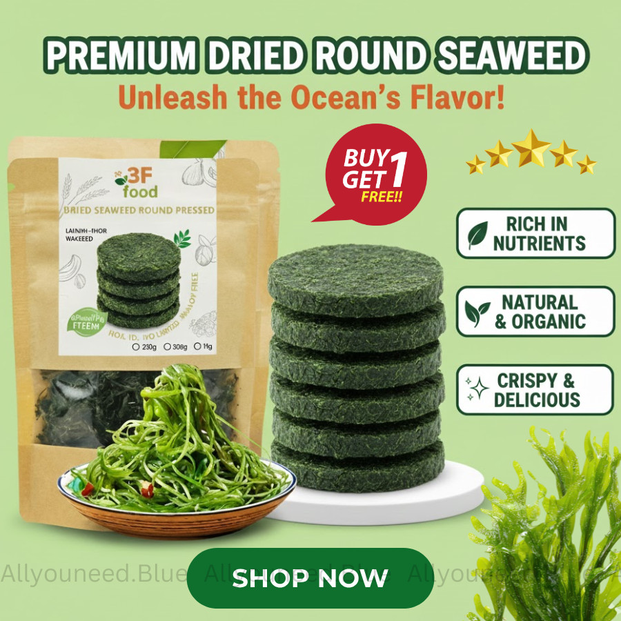 READY STOCK - 海带丝 Vegetarian Dried Seaweed Strips Dried Cut Wakame ...