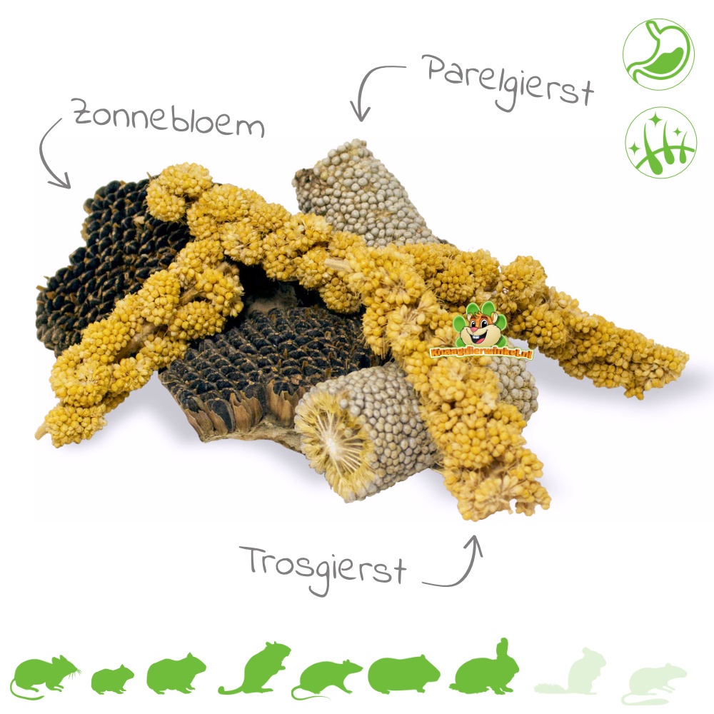 JR Farm Nibble Pieces Sunflower & Millet for rodents exp 06/2025 ...