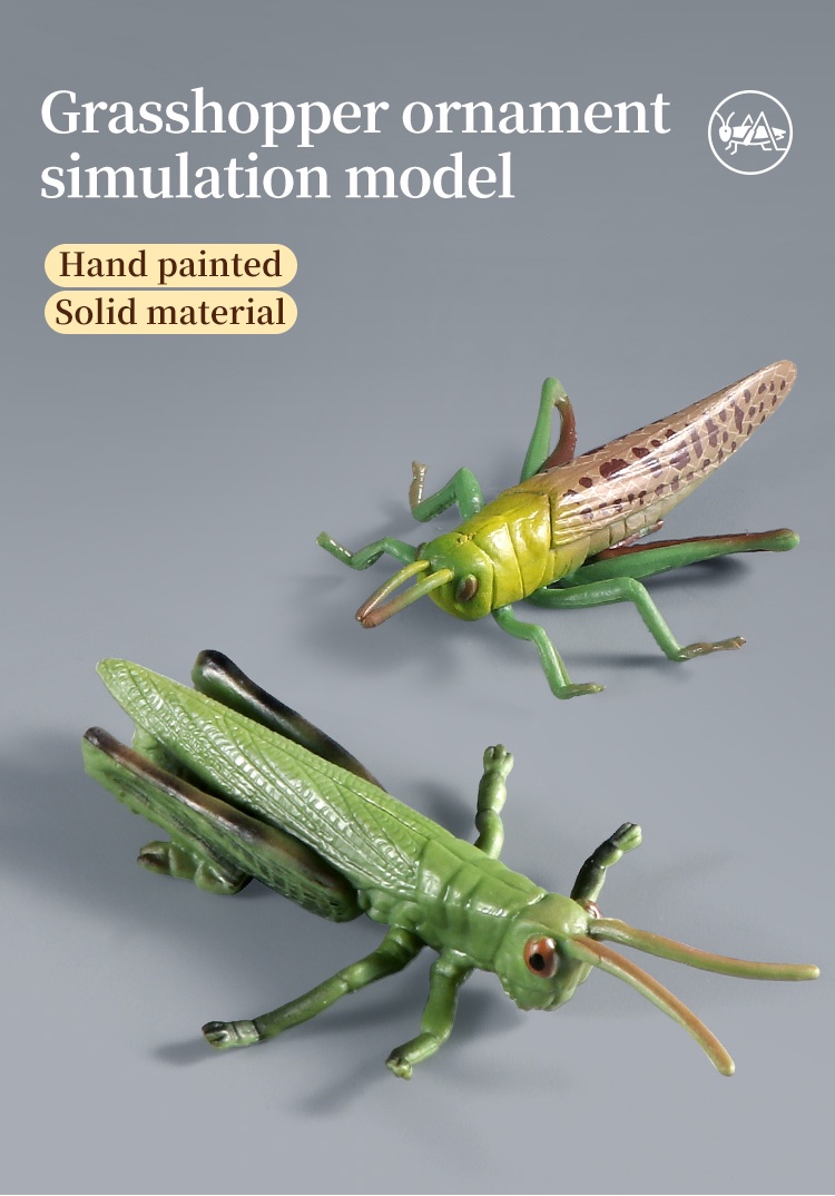Solid Simulation Insect Animal Model Grasshopper Action Figures Boys ...