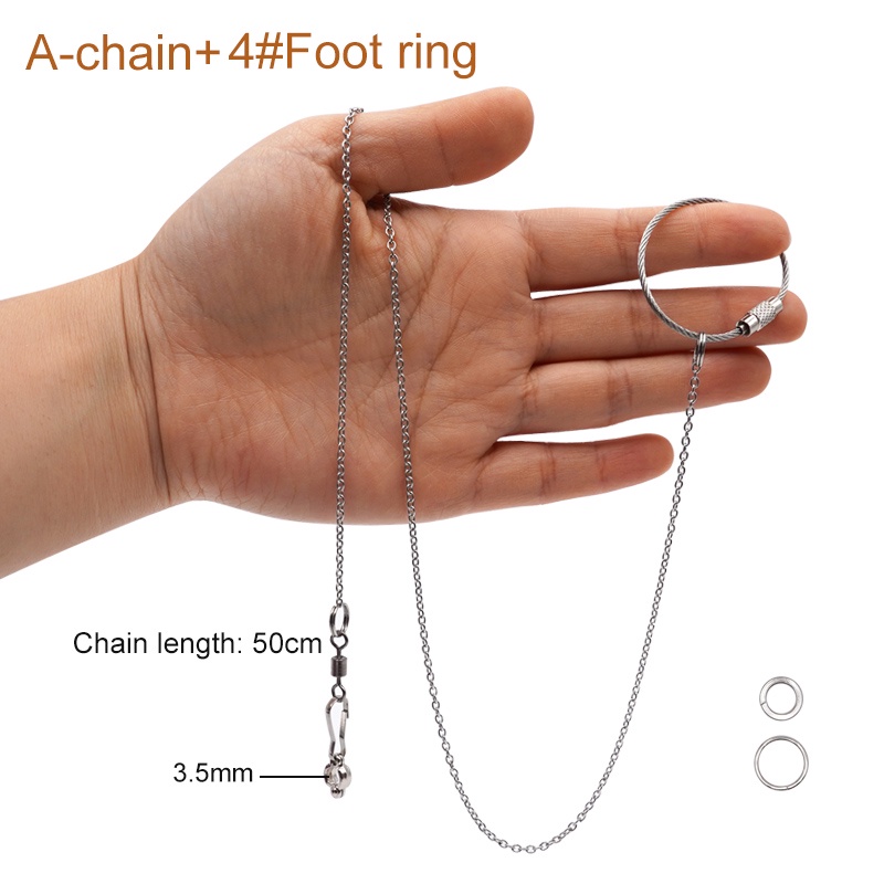【Ready stock】Parrot Stainless Steel Foot Ring Chain Opening Activity ...