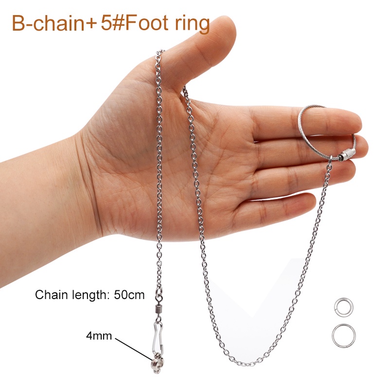 【Ready stock】Parrot Stainless Steel Foot Ring Chain Opening Activity ...
