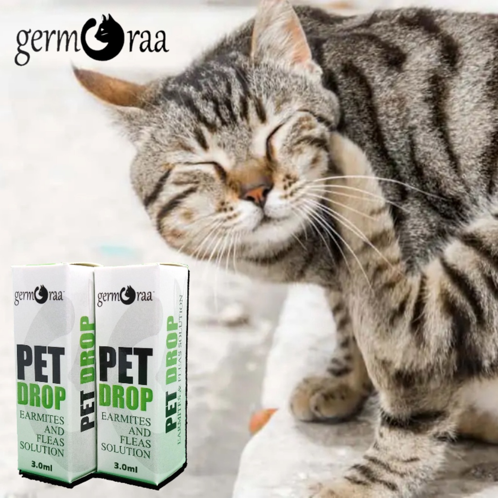 KUTU KUCING CAT EARMITE ANTI FLEA HAMA KUTU KUCING TELINGA GATAL PET ...