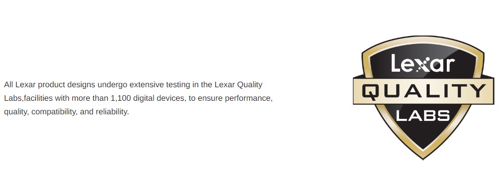 Lexar 32GB/64GB/128GB High-Endurance microSDHC/microSDXC UHS-I Card ...