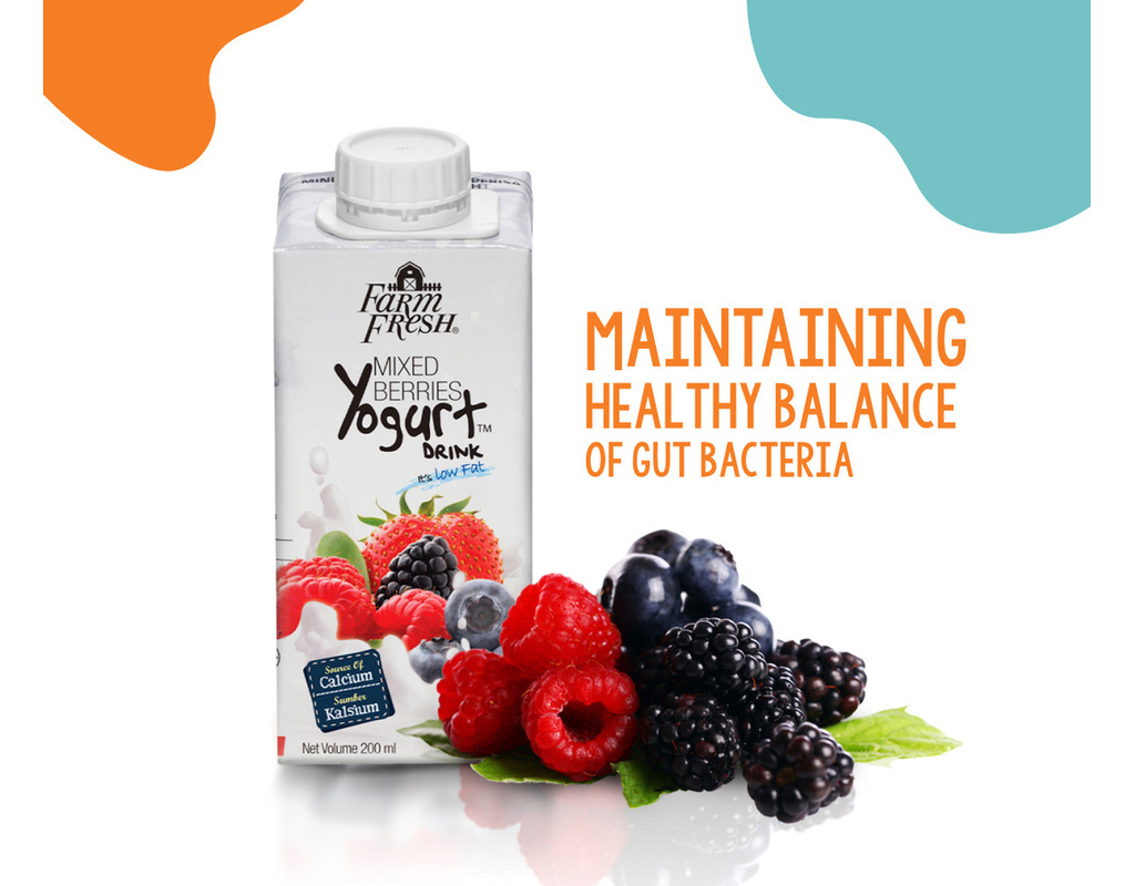 Farm Fresh UHT Yogurt Drink Mixberry 200ml x 24 Packs | Shopee Malaysia