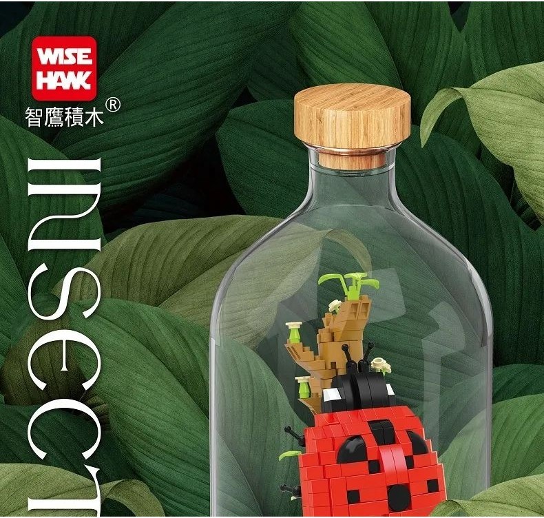 Wise Hawk Block Insect In Transparent Cover Lady Bug Butterfly Gift ...