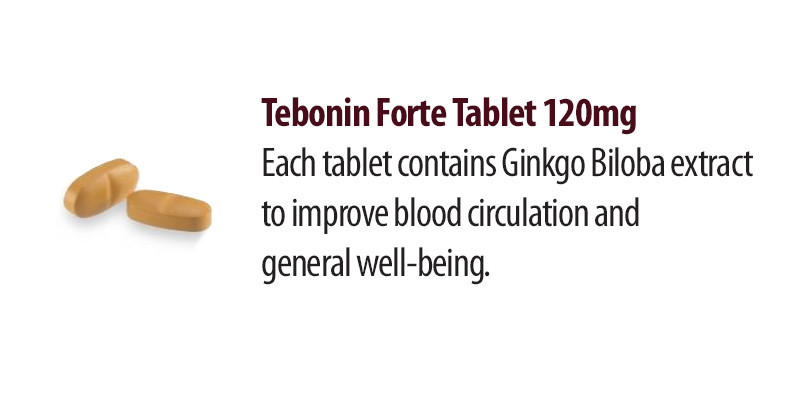 Tebonin Forte 120mg with Ginkgo Biloba (30 Tablets) | Shopee Malaysia