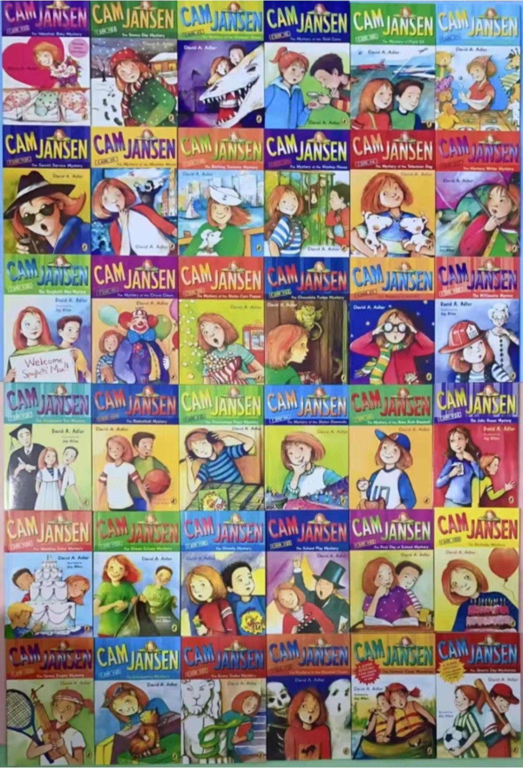 (34 Books) Cam Jansen Mystery Series Story Books | Shopee Malaysia