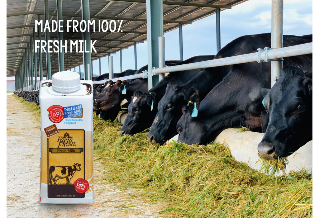 Farm Fresh UHT Fresh Milk 200ml x 24 Packs | Shopee Malaysia