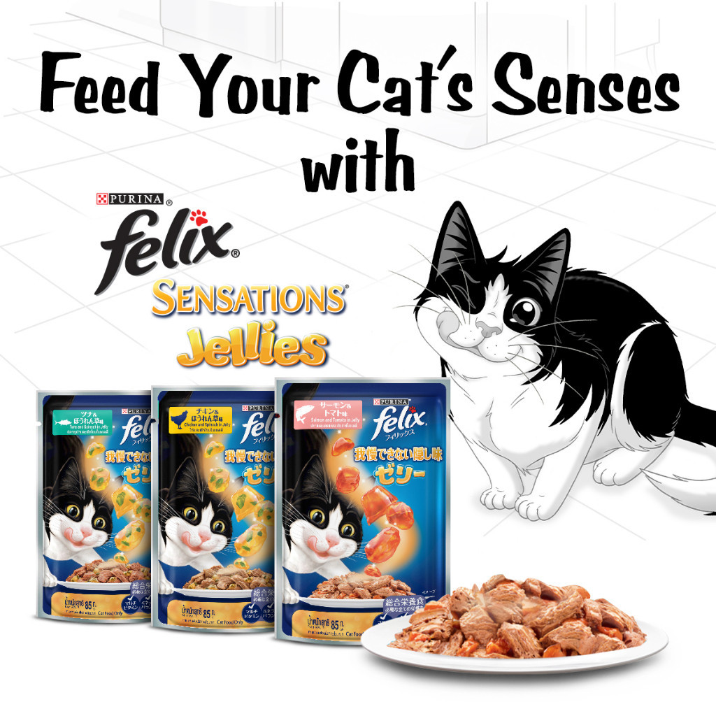 PURINA Felix Sensations Jellies Chicken & Spinach in Jelly Wet Cat Food ...