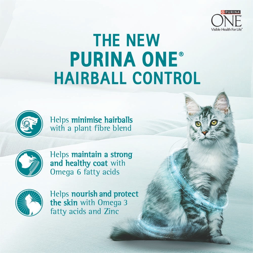 PURINA One Hairball Control with Chicken Dry Cat Food (1 x 1.2kg ...