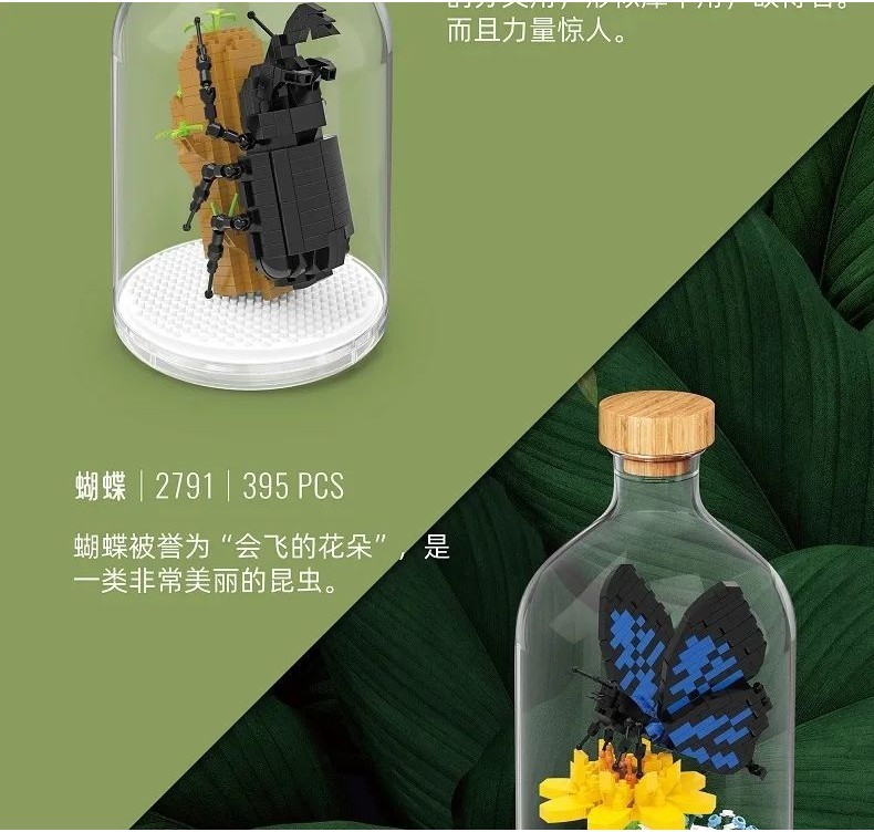 Wise Hawk Block Insect In Transparent Cover Lady Bug Butterfly Gift ...
