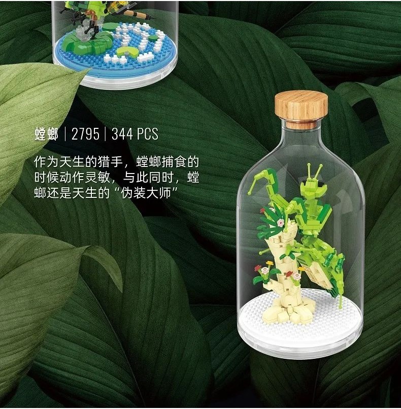 Wise Hawk Block Insect In Transparent Cover Lady Bug Butterfly Gift ...
