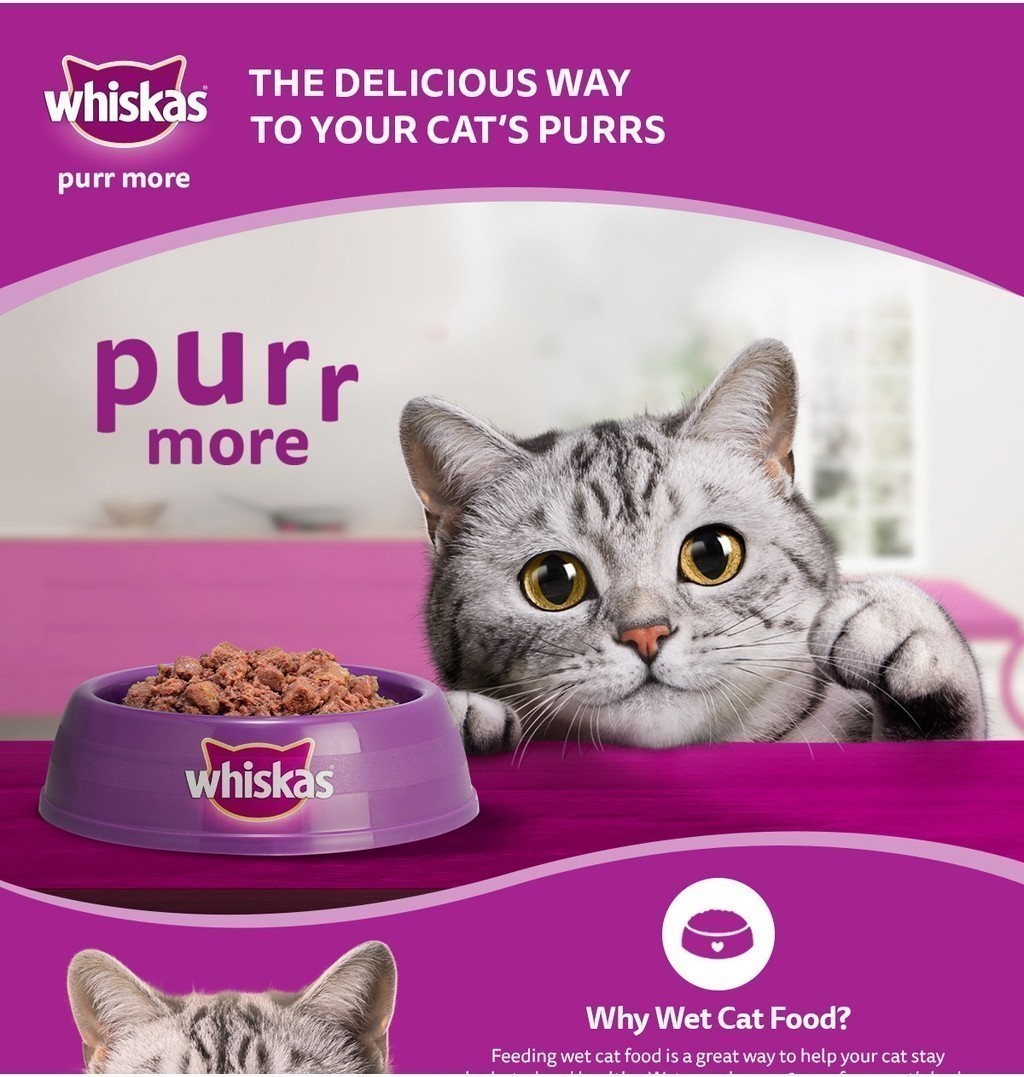 Whiskas Canned Cat Food Can Adult Cat Tuna/ Ocean Fish/ Sardines 400g ...
