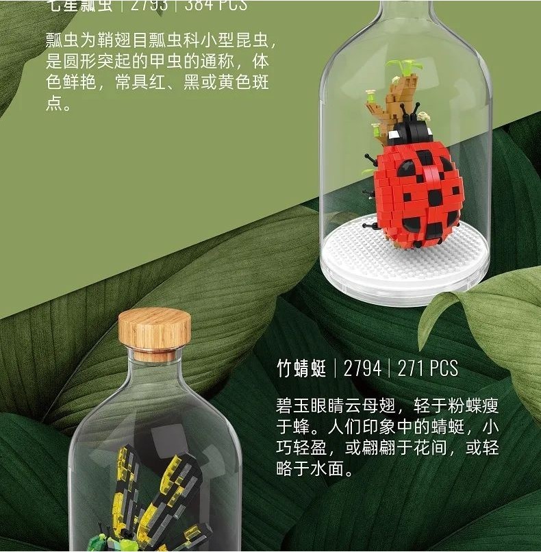 Wise Hawk Block Insect In Transparent Cover Lady Bug Butterfly Gift ...