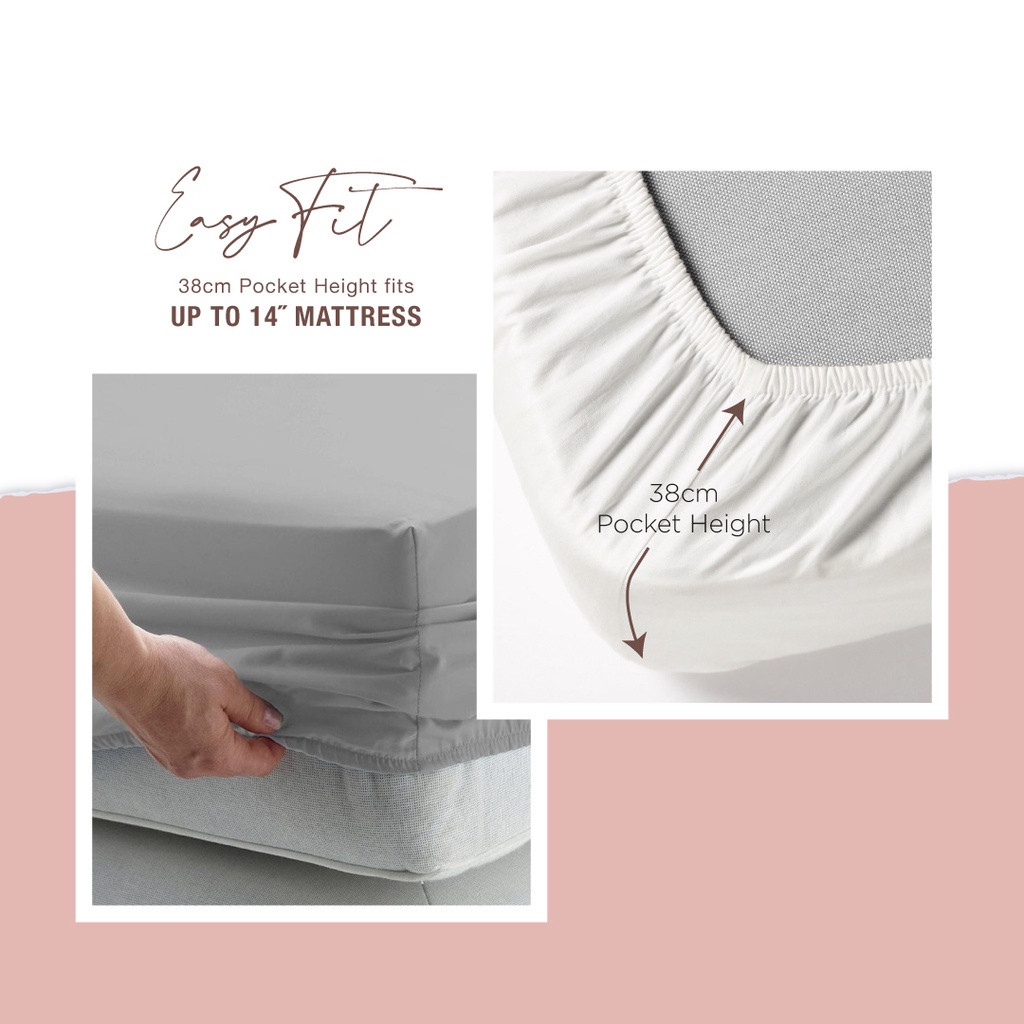 WINNY Modesty Fitted Sheet Set - Super Single/Queen/King 680 TC ...