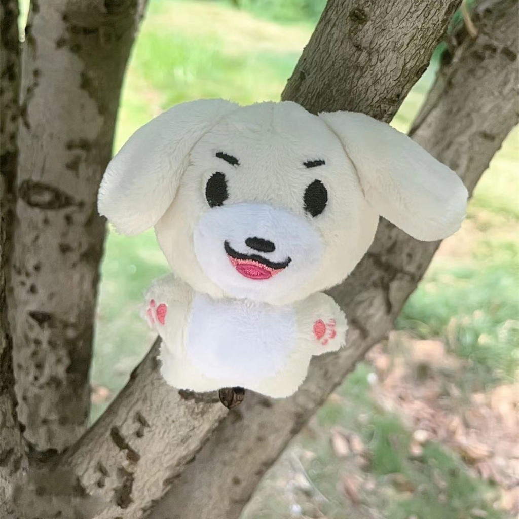 Kpop Idol Enhypen Cute Cartoon Characters 10cm Plush Doll HEESEUNG JAY ...