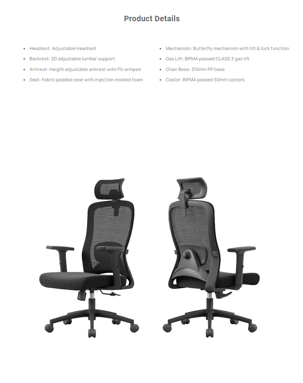 ANEW Stride Ergonomic Chair with Seat Backrest and Adjustable Lumbar ...