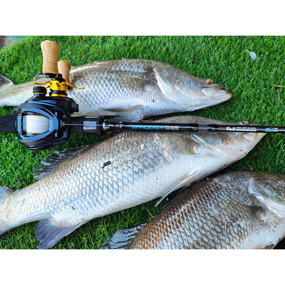 (6'0ft-6'6ft) Ajiking Wanderer TRW Spinning Casting Travel Fishing Rod 4Section Portable FUJI ...