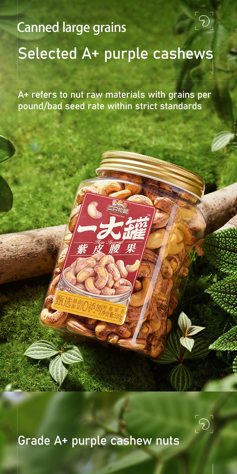 Three Squirrels Canned Purple Cashew Nuts 三只松鼠罐装紫皮腰果 饱满大果 酥脆原香 (500g ...