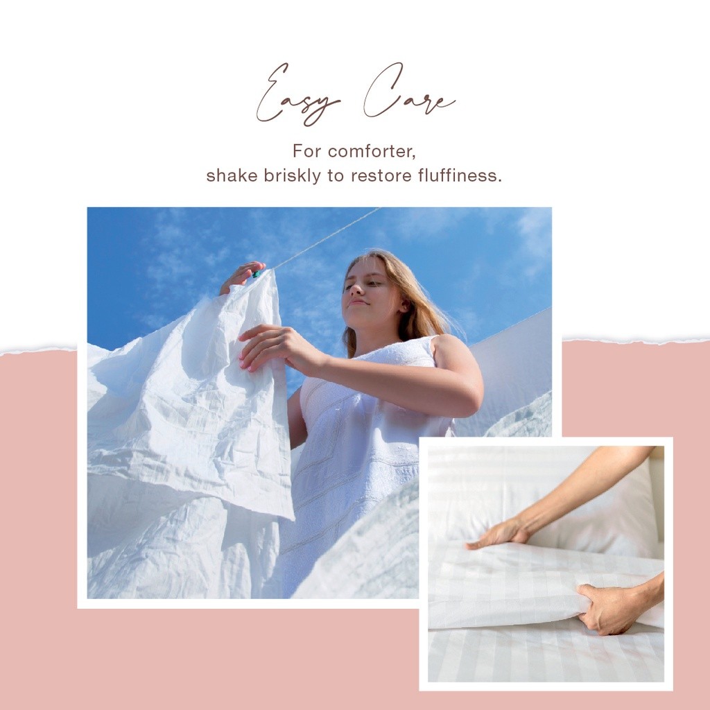 WINNY Modesty Fitted Sheet Set - Easy Care Cotton 680TC(Super Single ...