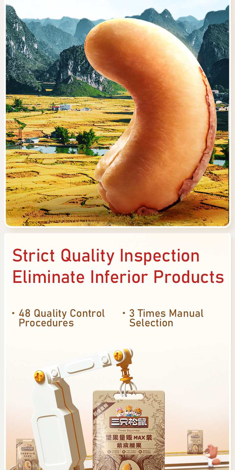 【Halal】Three Squirrels Purple Cashews 三只松鼠量贩紫皮腰果 特大坚果 含盐 (500g ...