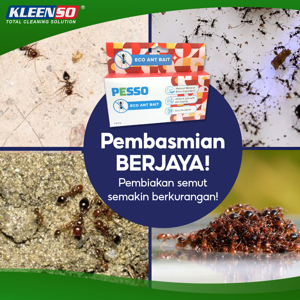 KLEENSO Pesso Eco Ant Bait (2pcs/pack) Natural Ingredients Penghalau ...