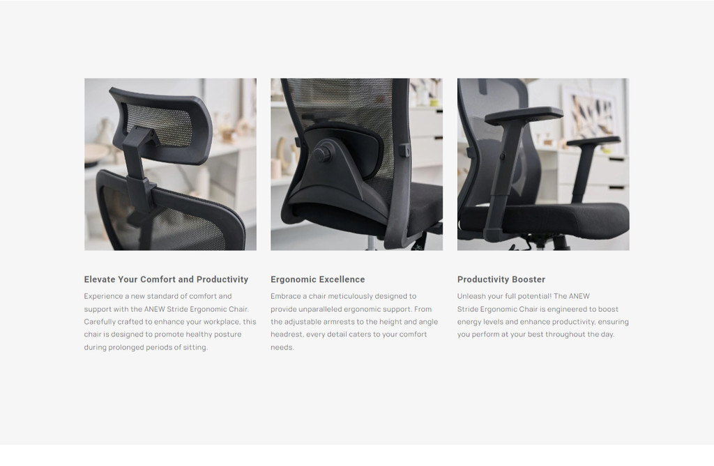 ANEW Stride Ergonomic Chair with Seat Backrest and Adjustable Lumbar ...