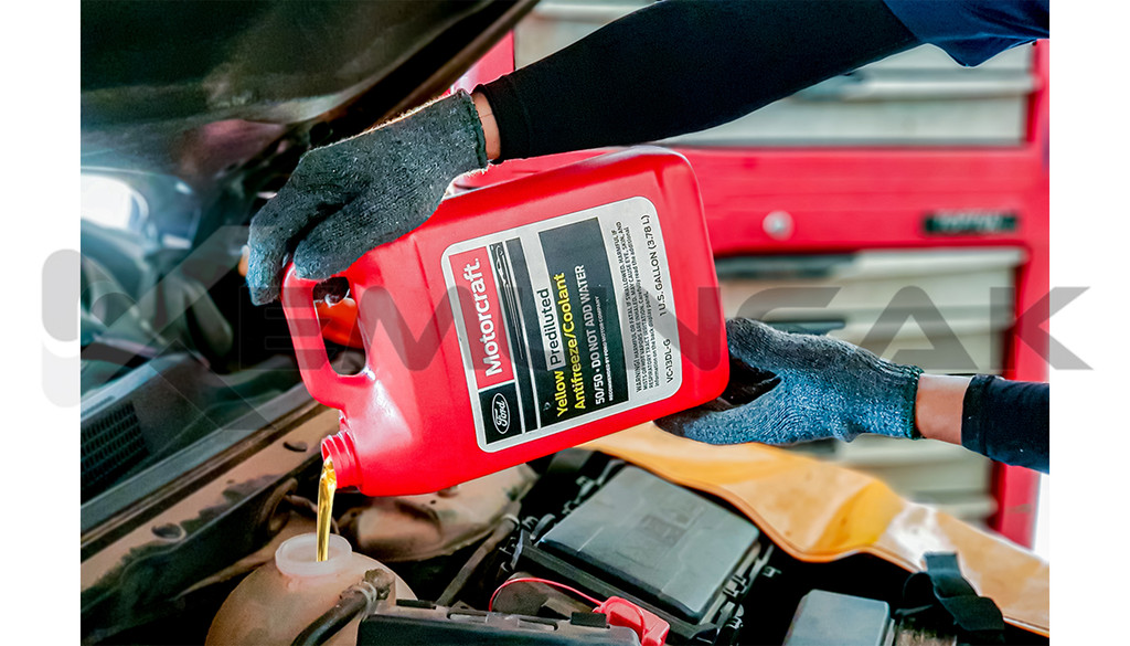 (100% Genuine) FORD Motorcraft Coolant Yellow 50/50 Prediluted ...