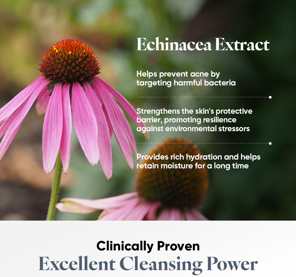 RAWQUEST Hyaluronic Acid Echinacea Calming Moisture Cleansing Foam (150ml) | Shopee Malaysia